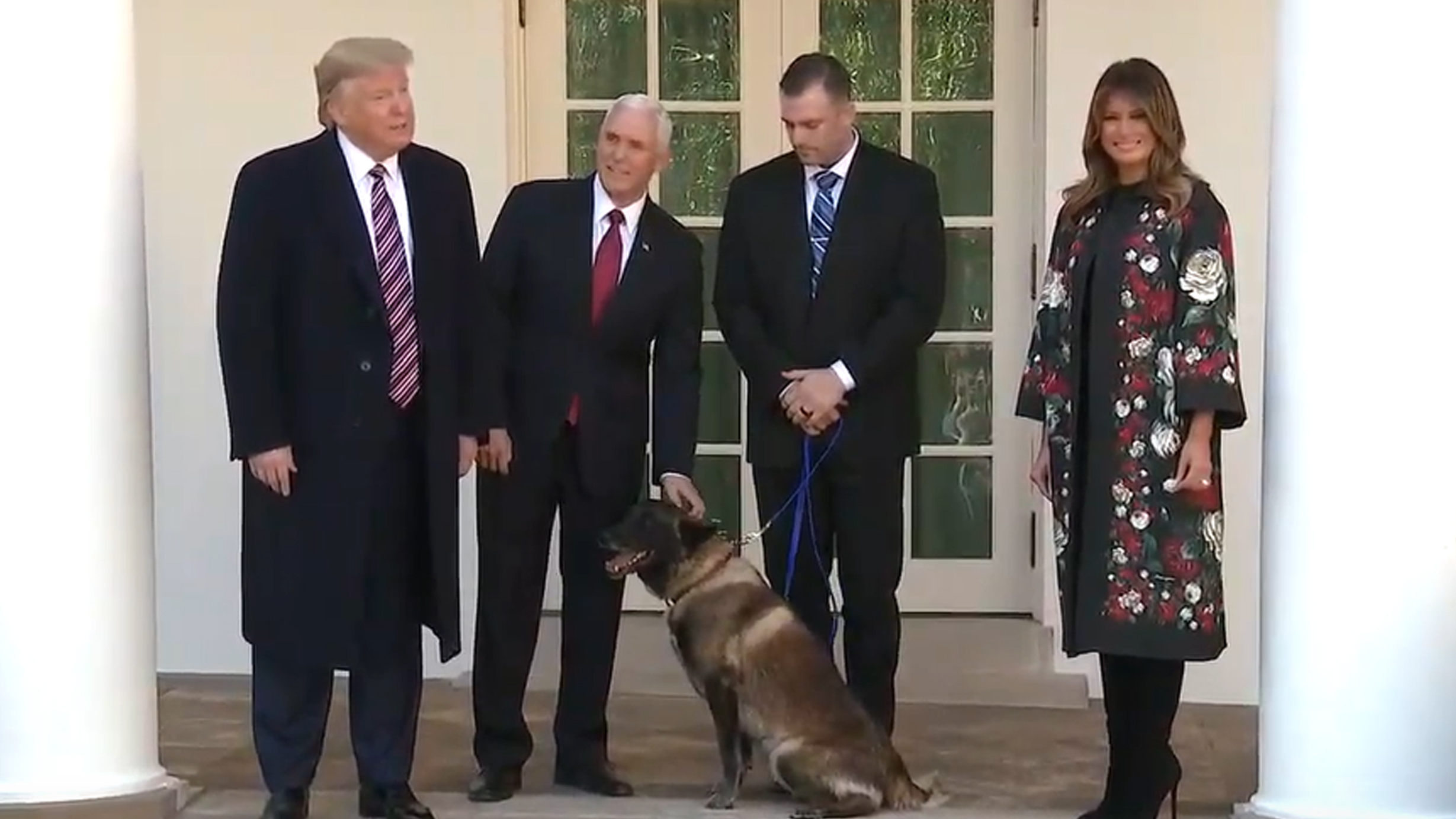 Trump, Pence, Melania welcome hero dog Conan to the White House